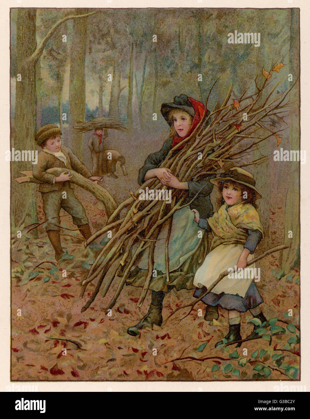 Gathering Firewood High Resolution Stock Photography and Images - Alamy