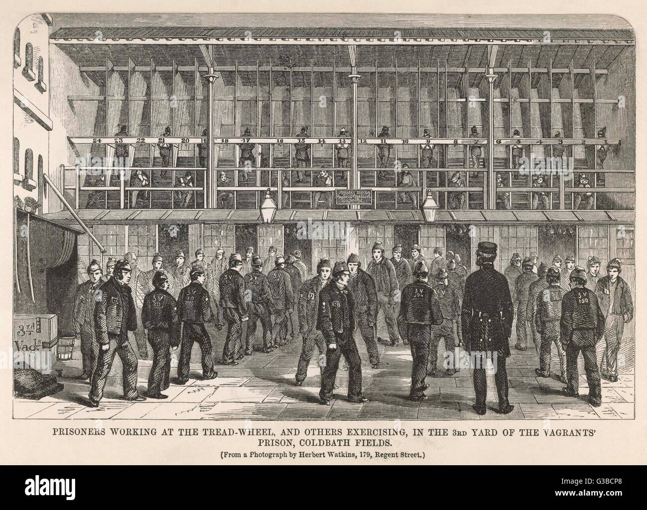 Prisoners working at the treadmill and others exercising in the ...