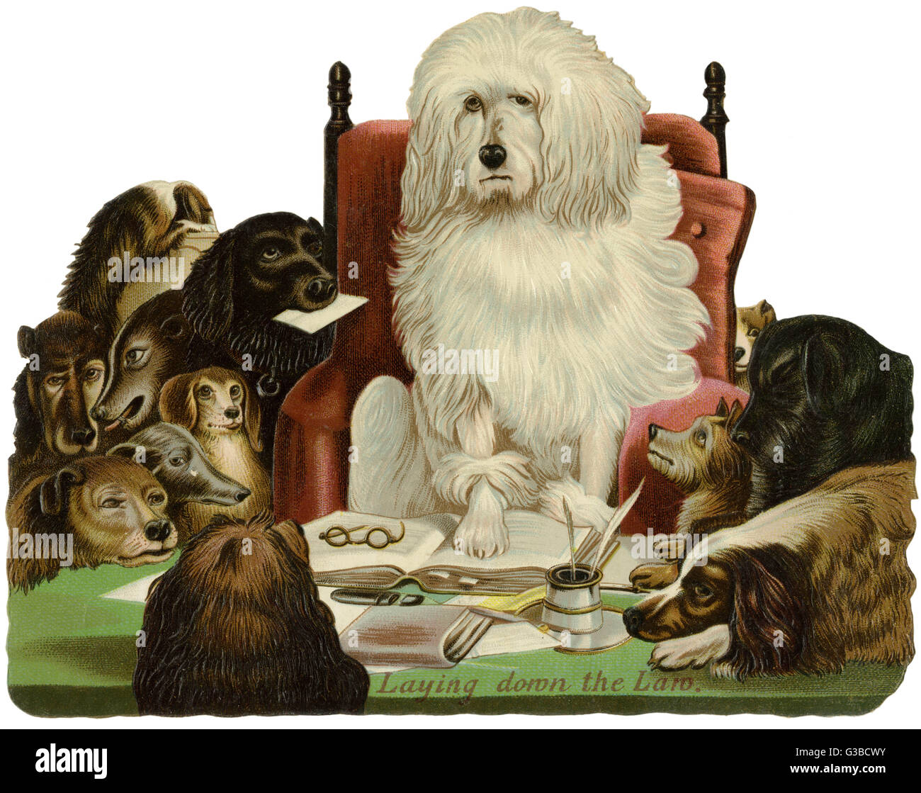 Adopting dogs hi-res stock photography and images - Alamy