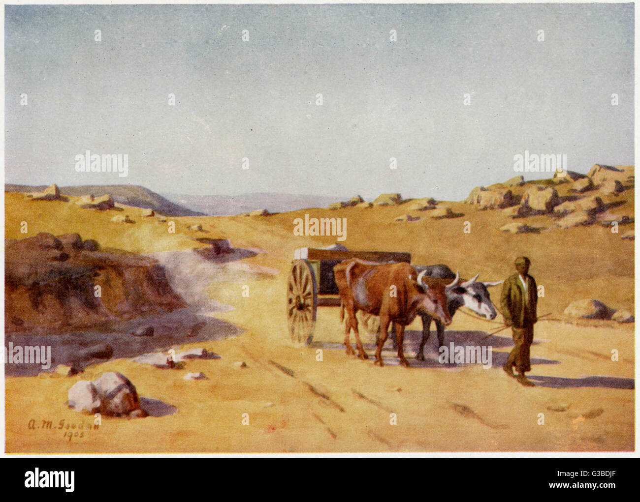 Ox Drawn Wagon High Resolution Stock Photography and Images - Alamy