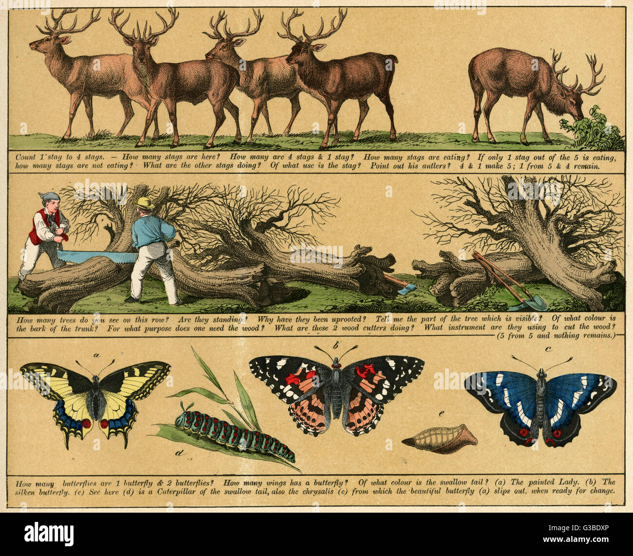 Textbook 1880 plate hi-res stock photography and images - Alamy