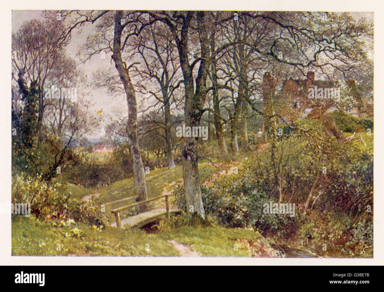 Path to the Village Stock Photo - Alamy