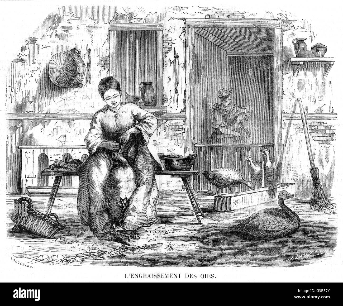 Force feeding hi-res stock photography and images - Alamy