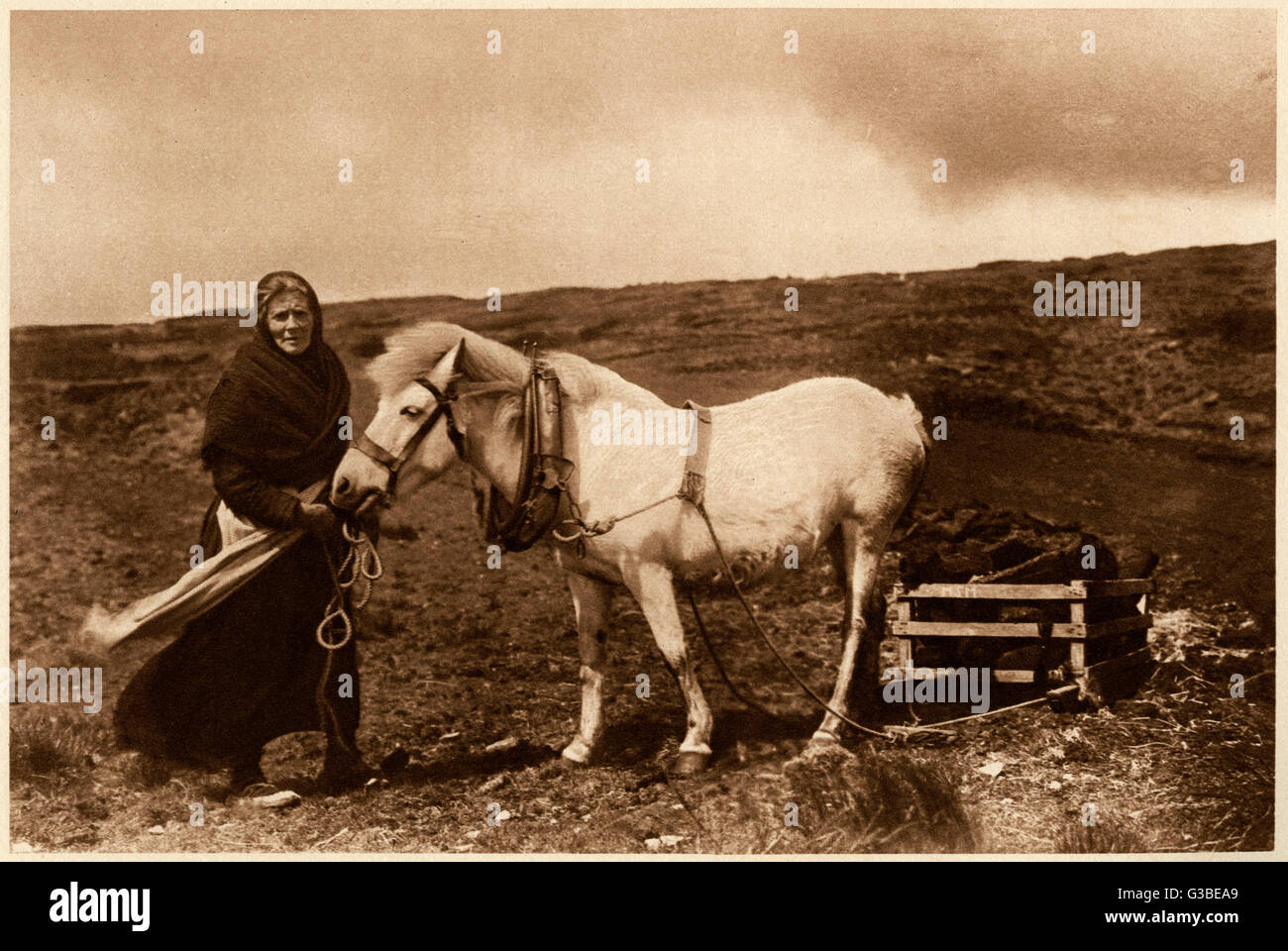 White peat hi-res stock photography and images - Alamy