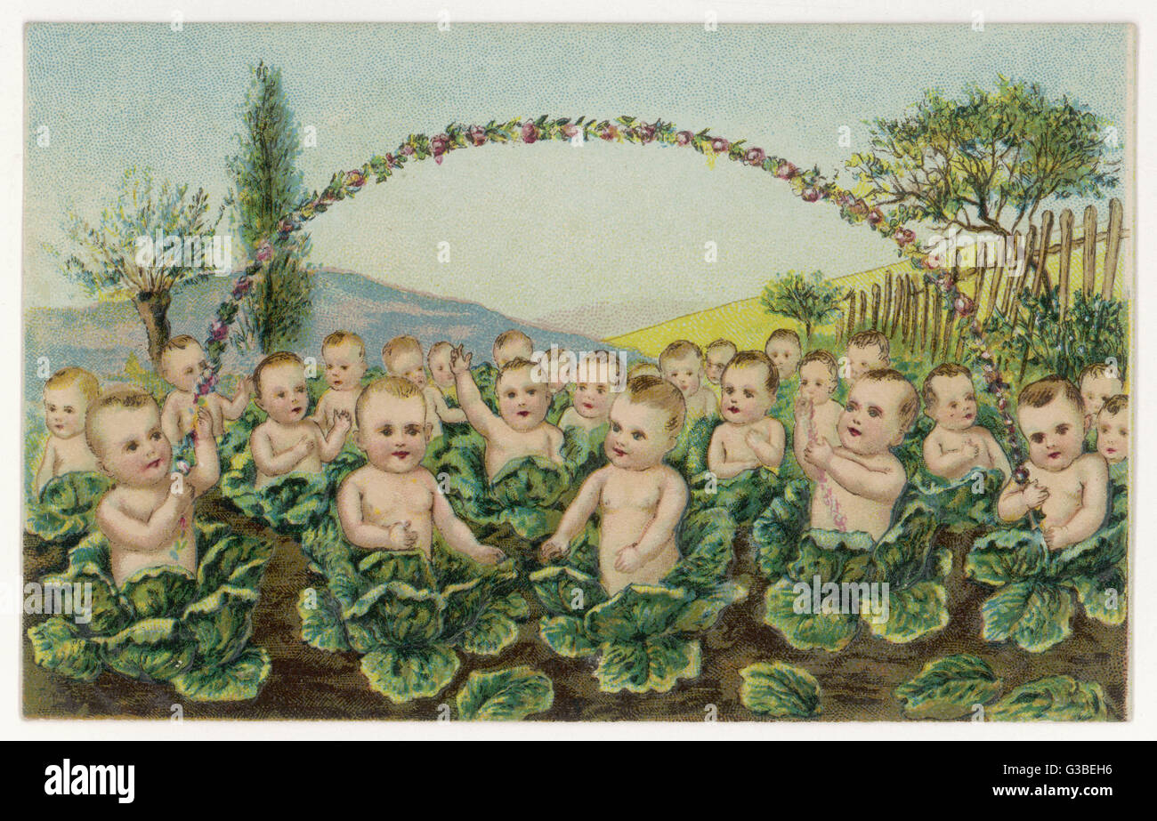 BABIES IN CABBAGE PATCH Stock Photo - Alamy