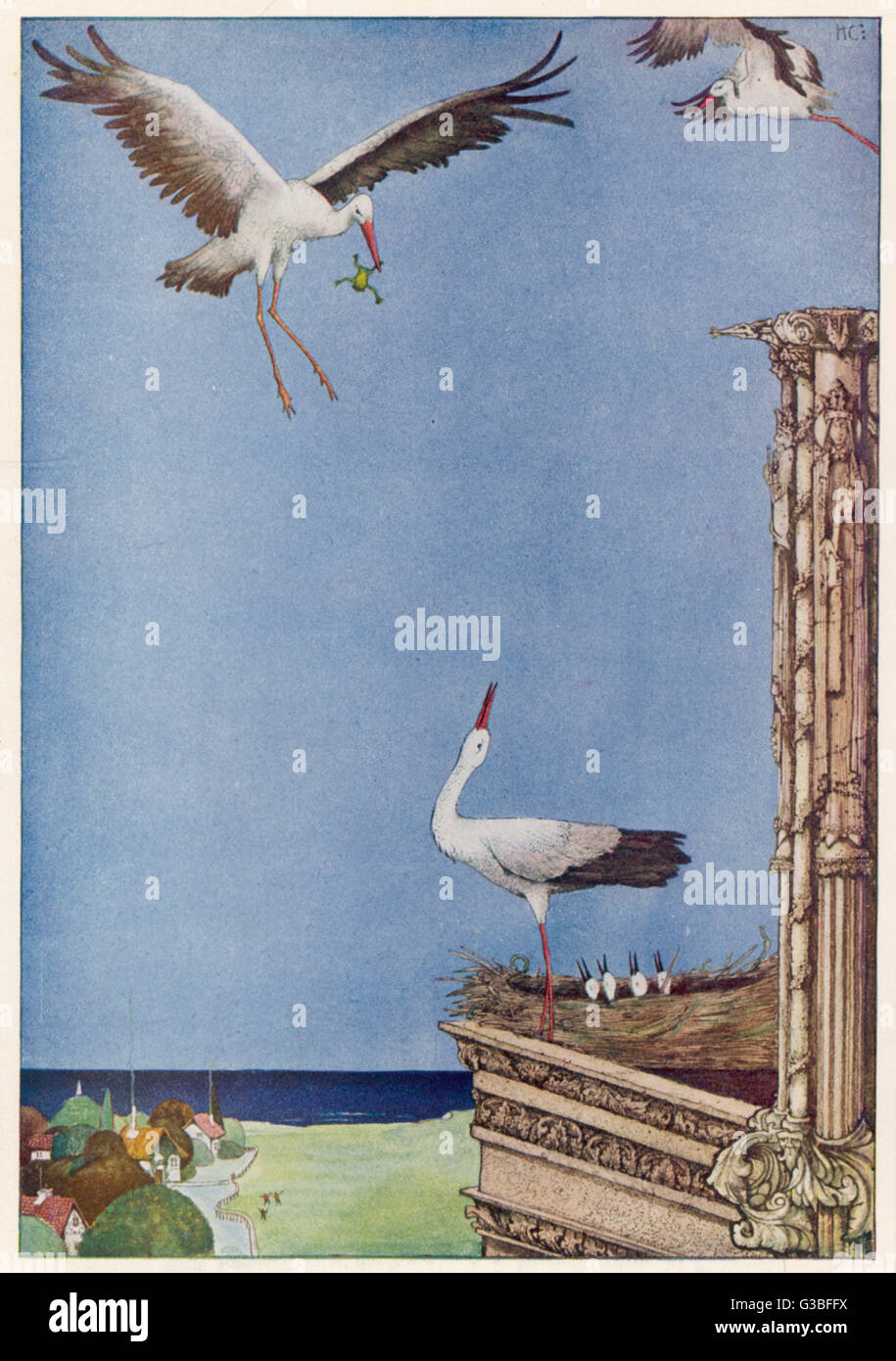 Father bird hi-res stock photography and images - Alamy