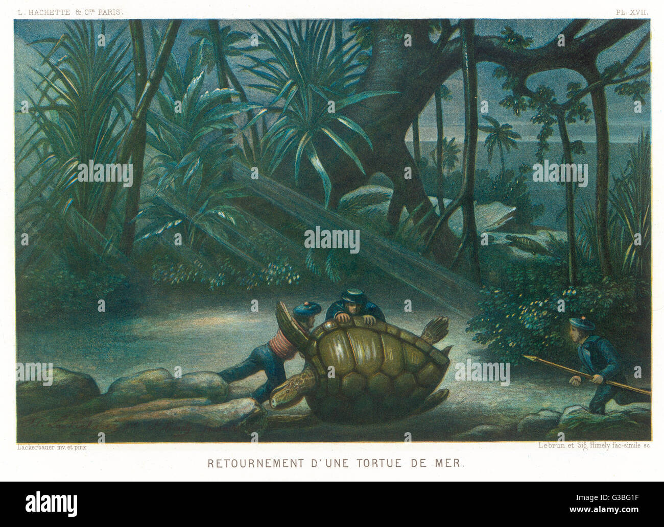 Turtle hunting hi-res stock photography and images - Alamy