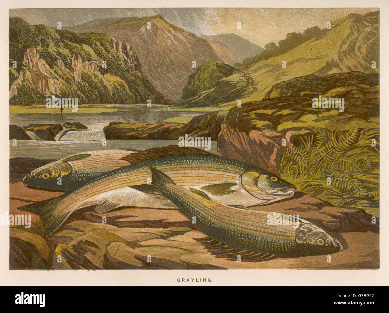 1864 hi-res stock photography and images - Alamy