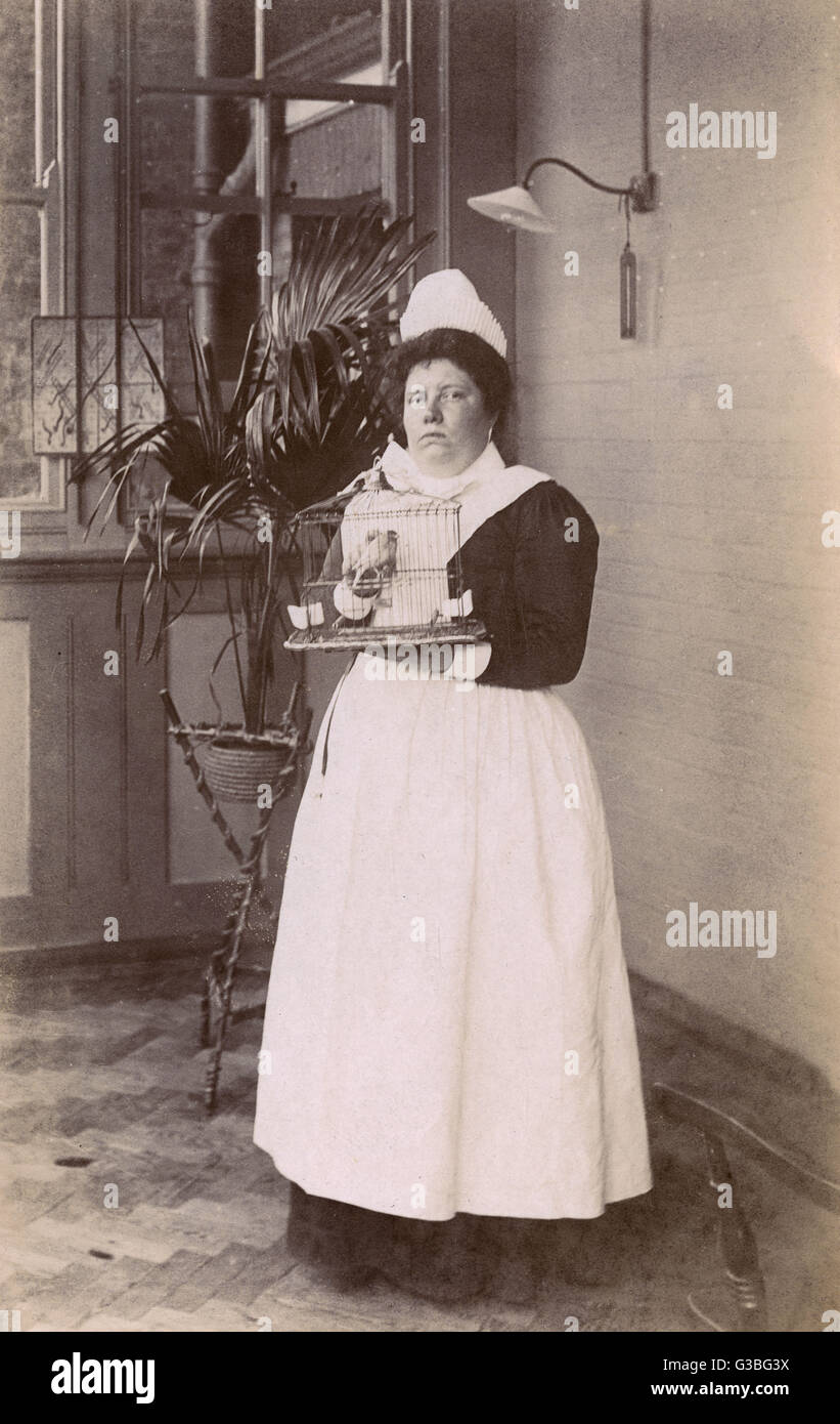 Conservatory bird hi-res stock photography and images - Alamy