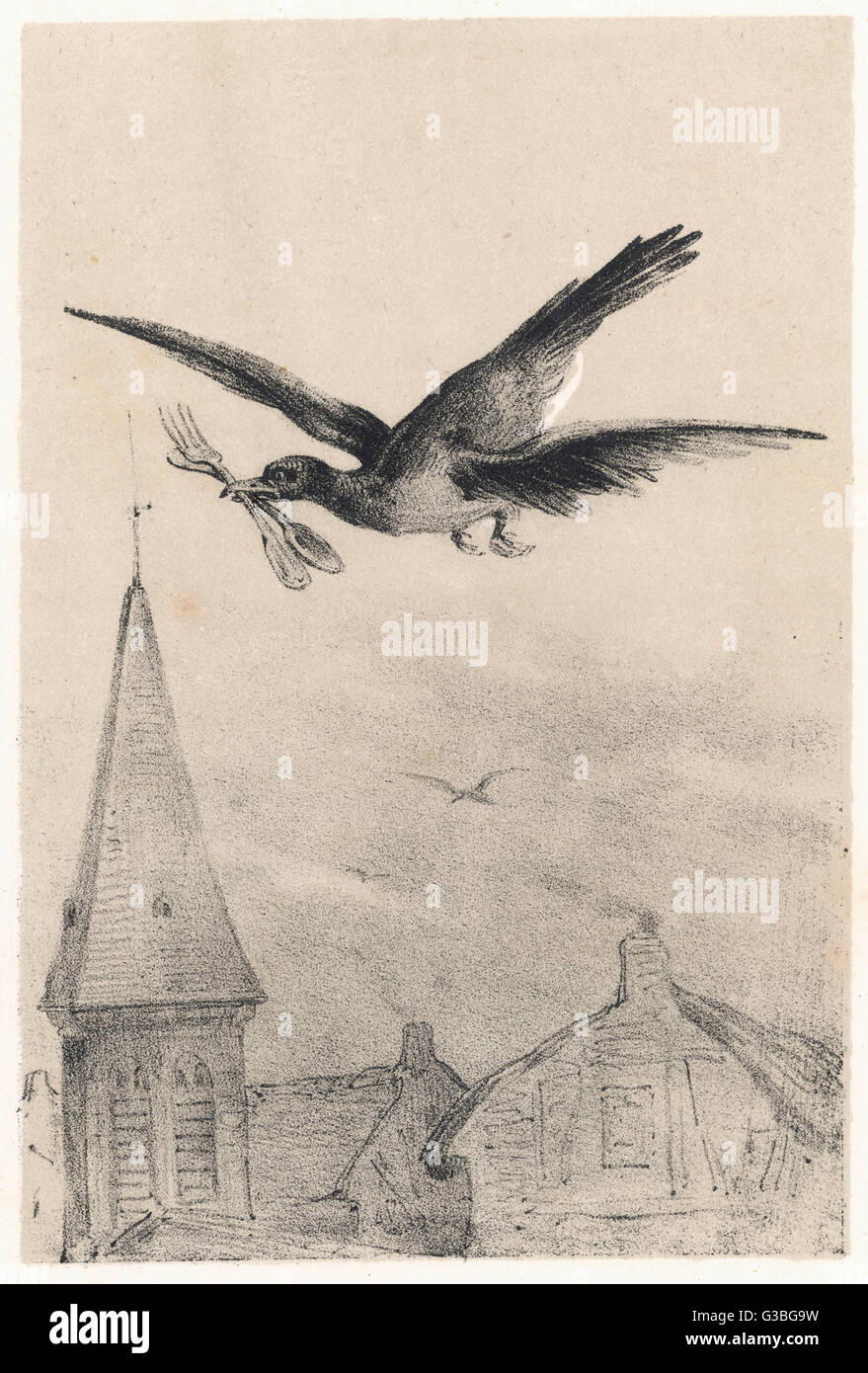 The thieving magpie of Palaiseau (near Versailles, France) (Pica pica ...