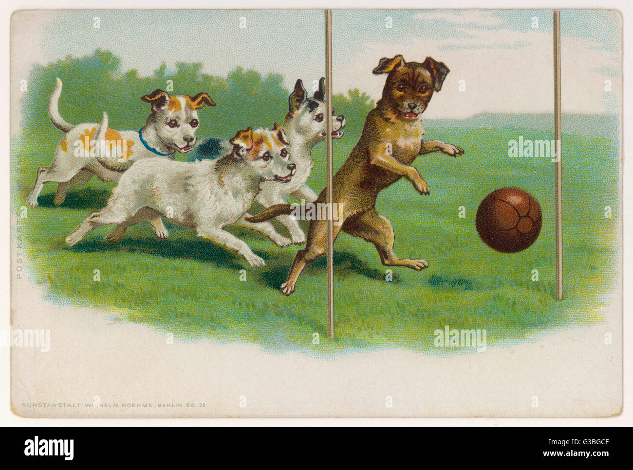 Dogs Playing Football Stock Photo - Alamy