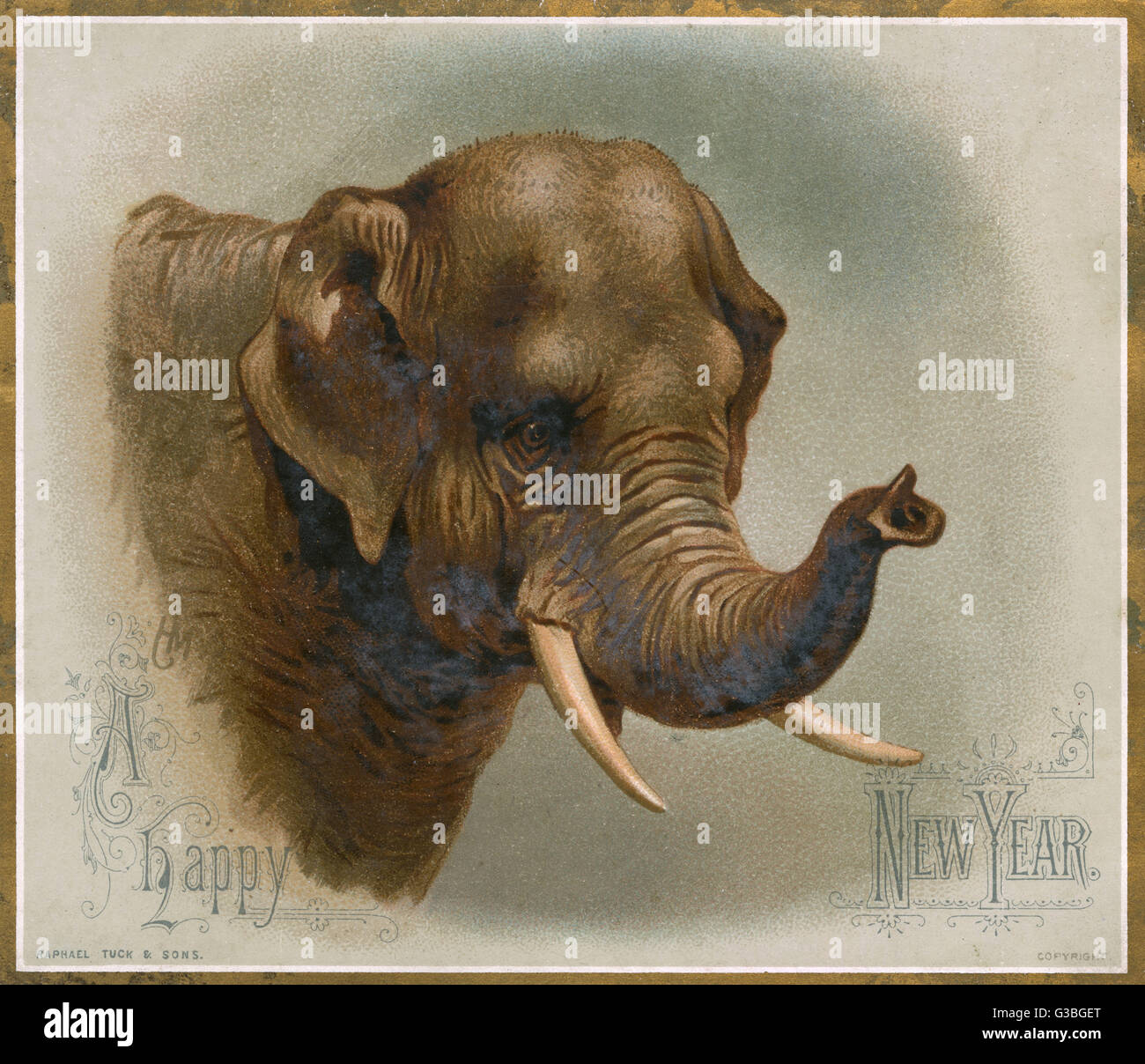 Year of the elephant hi-res stock photography and images - Alamy