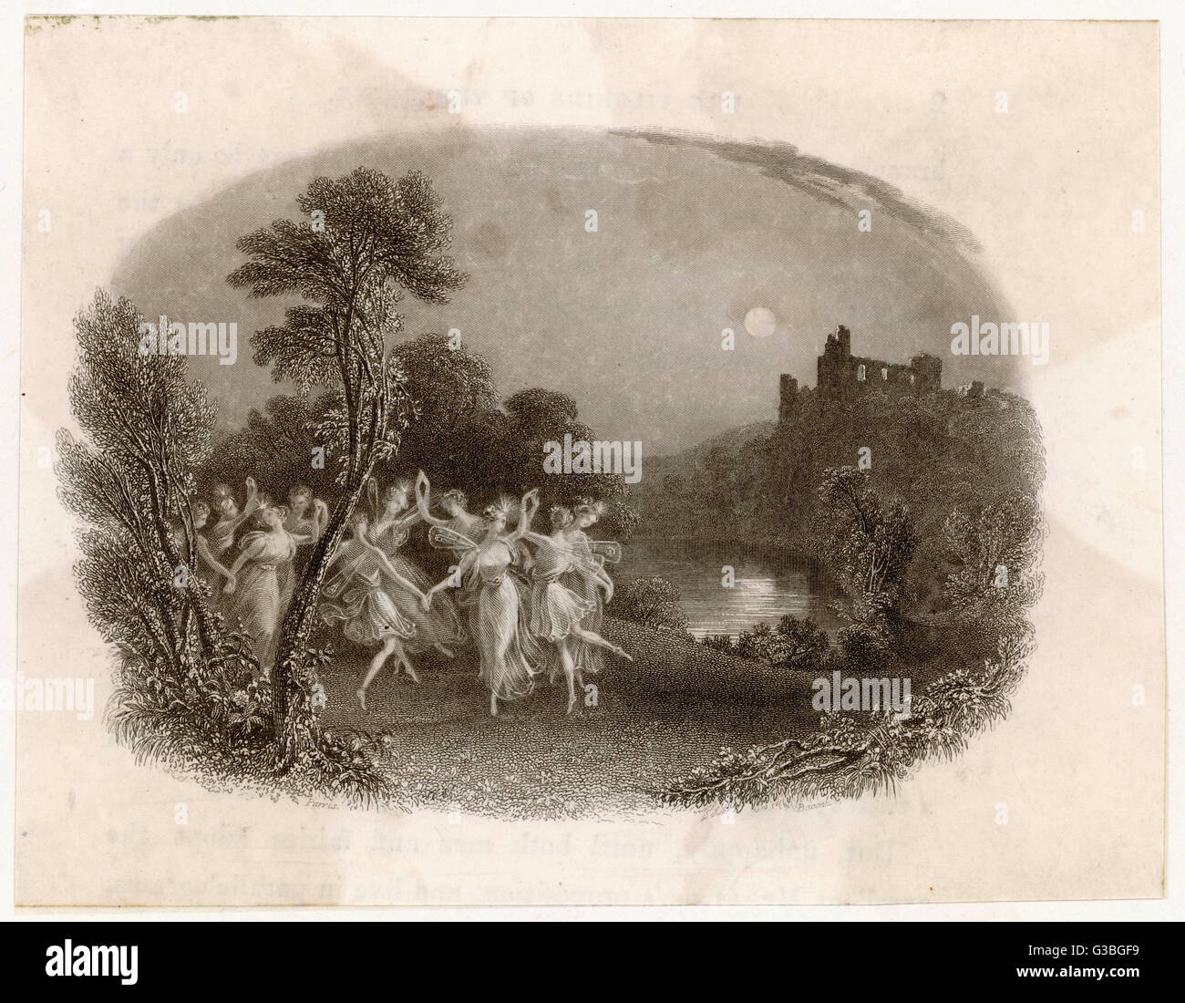 Fairies In The Moonlight