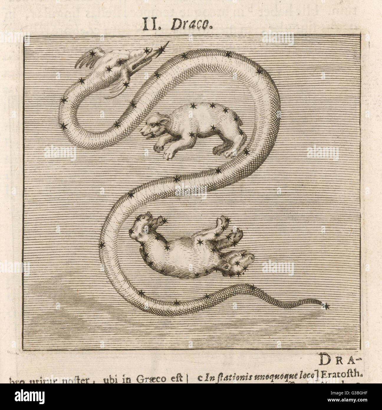 Draco hi-res stock photography and images - Alamy