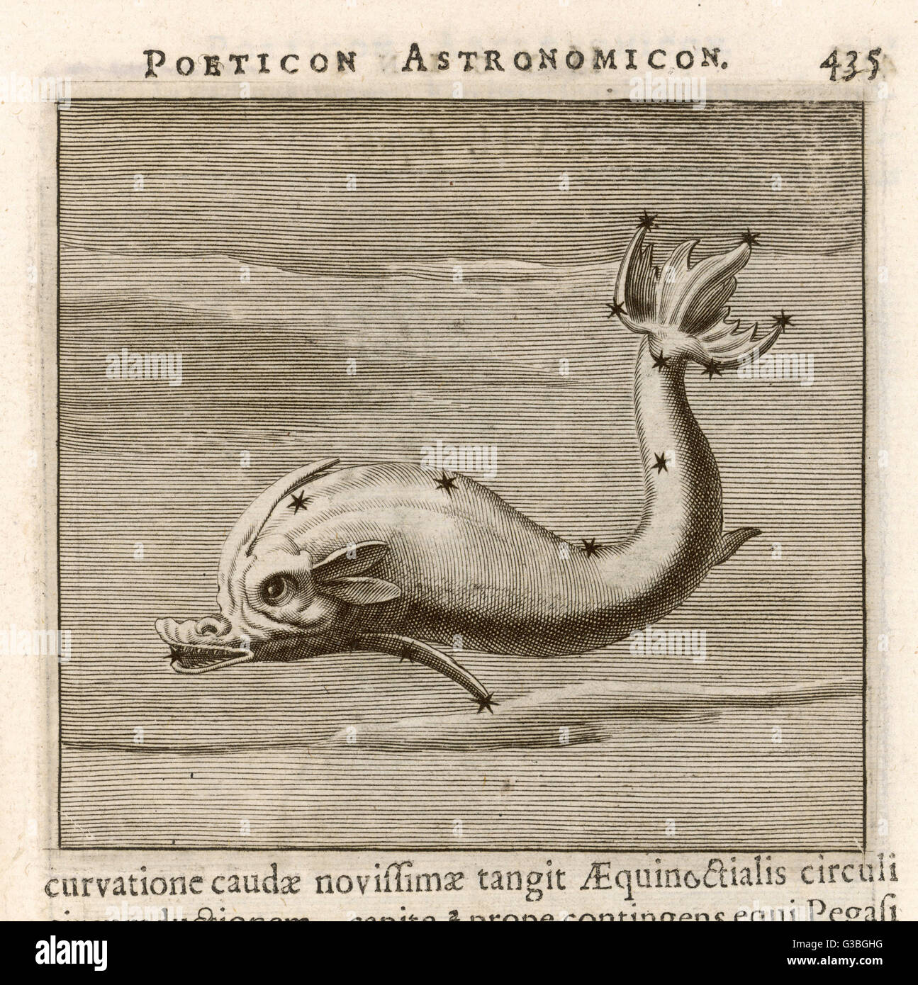 Hyginus hi-res stock photography and images - Alamy