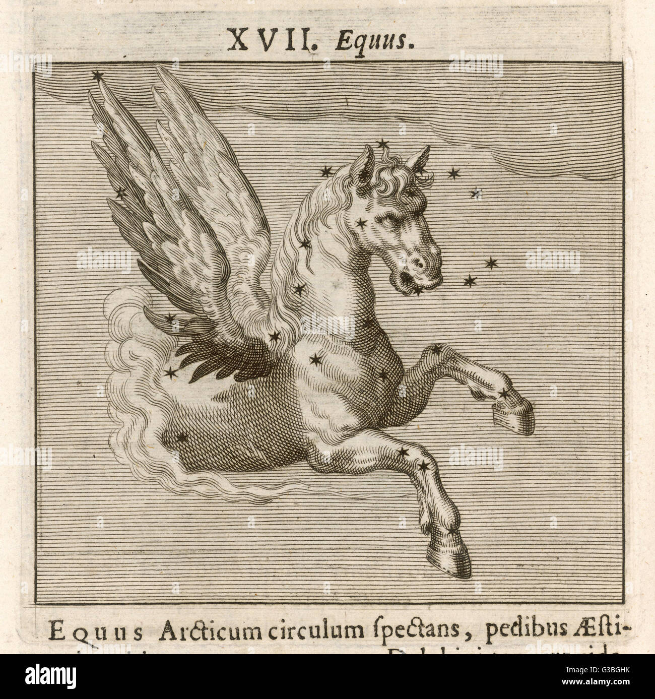 Astronomy - Constellation - Hyginus - Equus, The Horse Stock Photo - Alamy