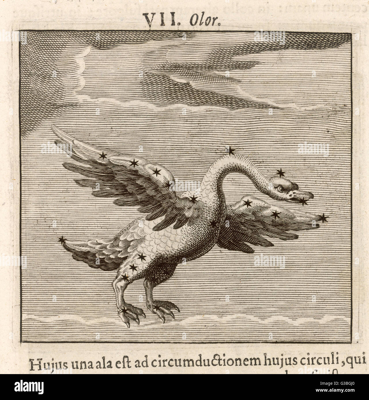 HYGINUS / OLOR Stock Photo - Alamy