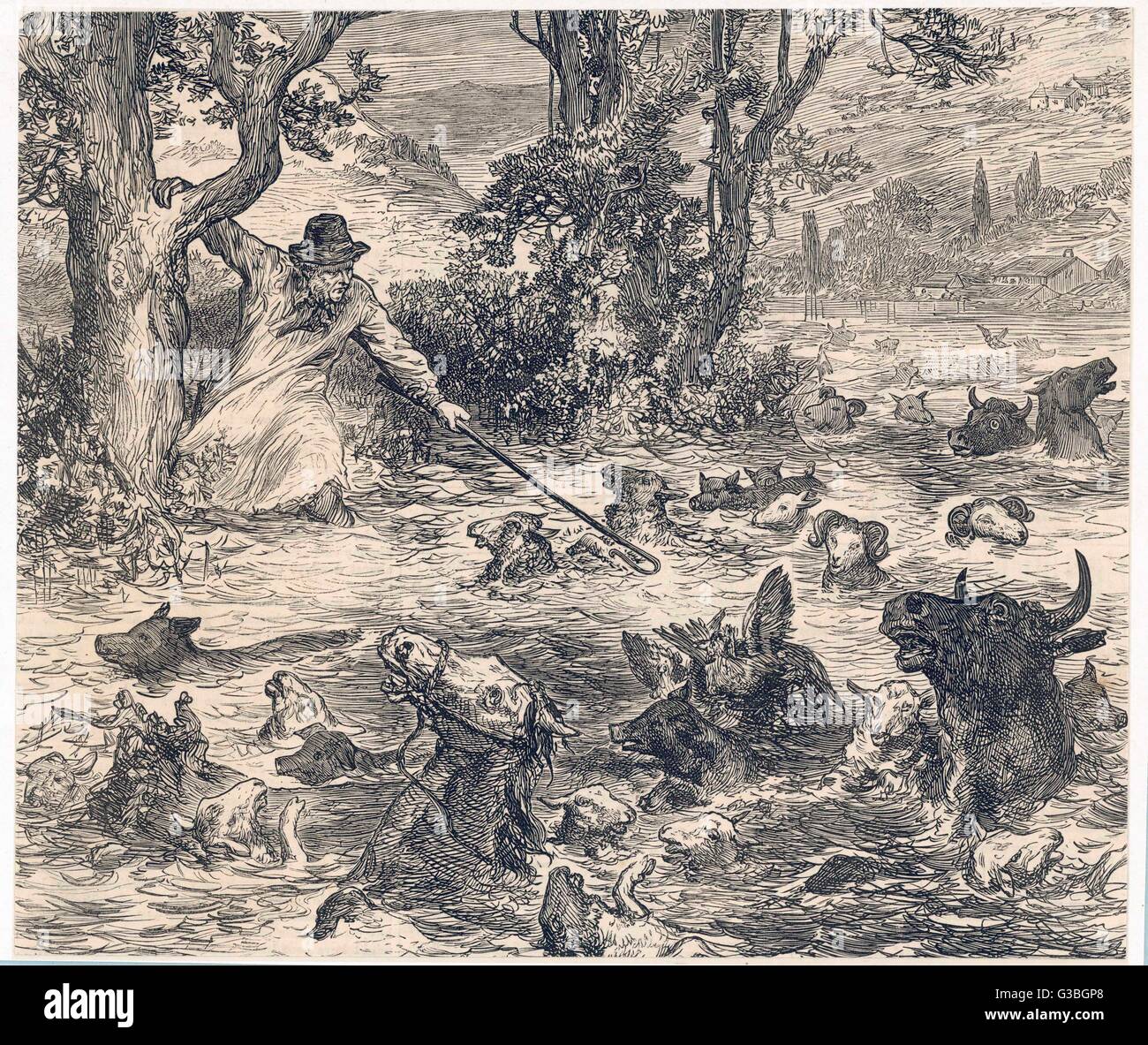 ANIMALS IN FLOOD Stock Photo - Alamy