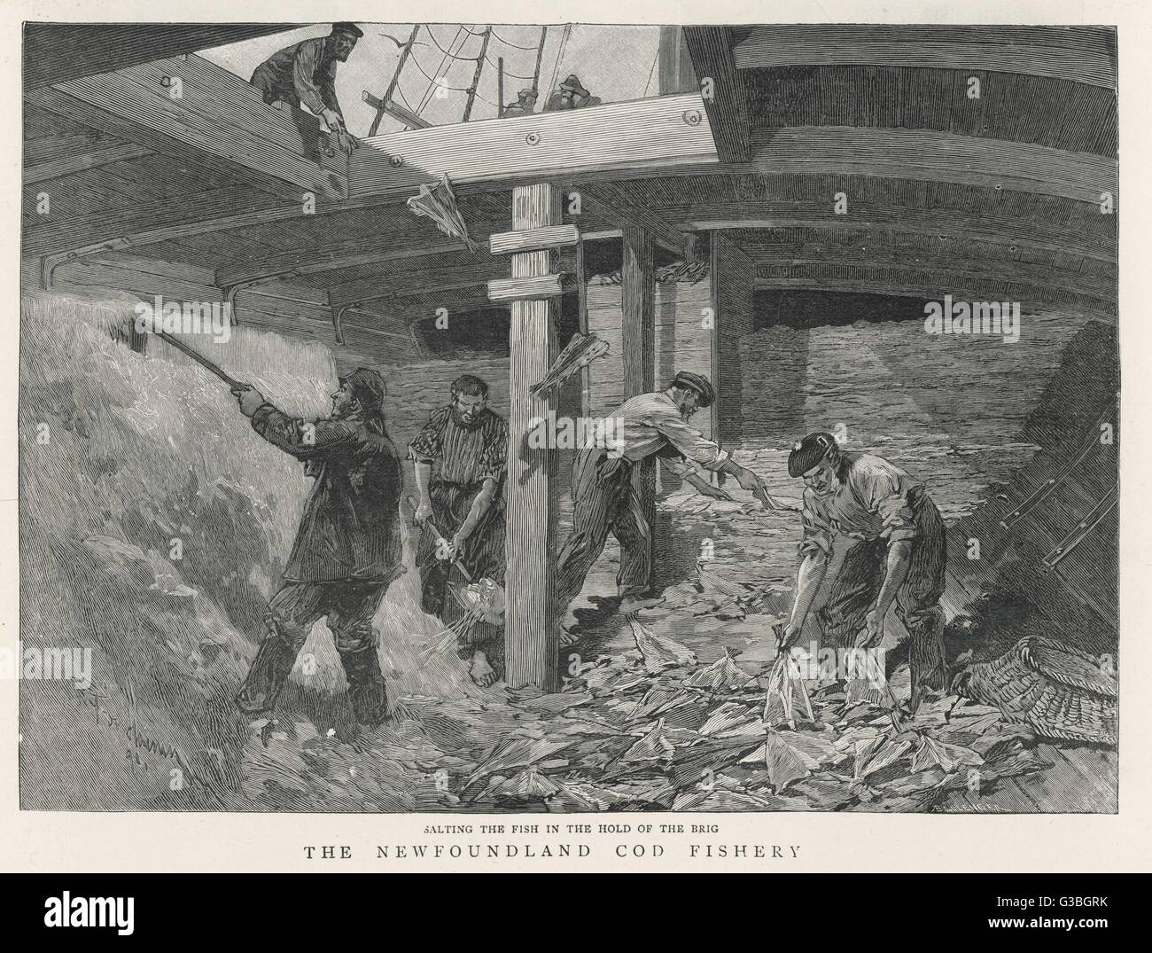 Newfoundland cod fishing hi-res stock photography and images - Alamy