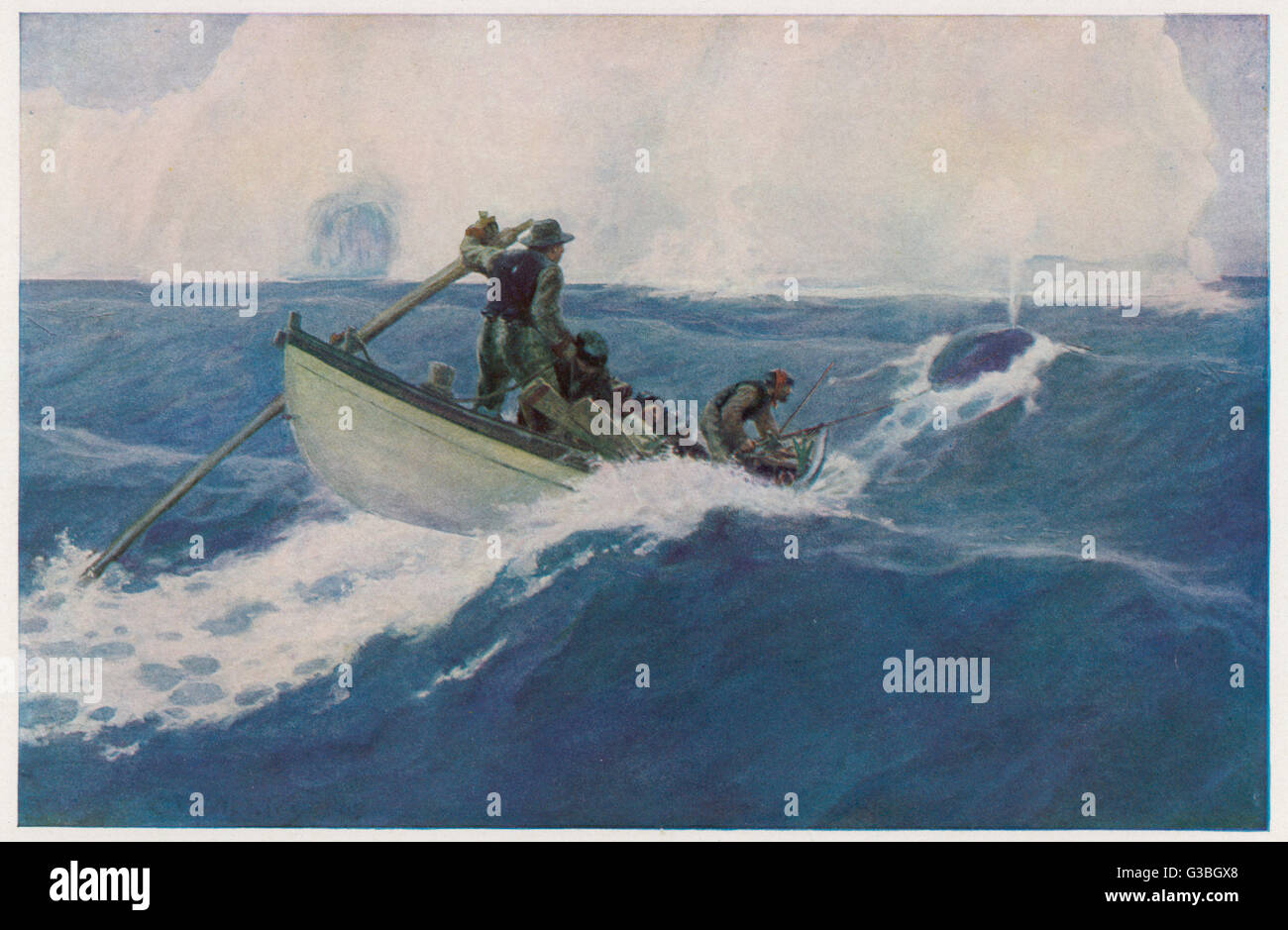 Bowhead whale arctic head hi-res stock photography and images - Alamy