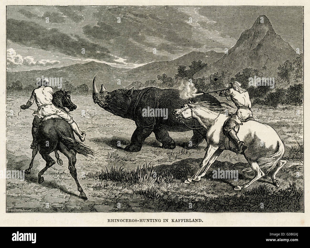 S AFRICA RHINO HUNT Stock Photo - Alamy