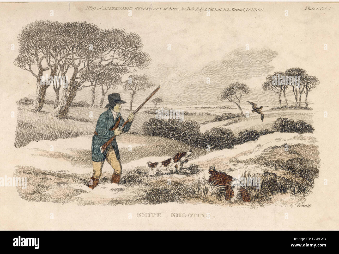 Snipe hunting hi-res stock photography and images - Alamy