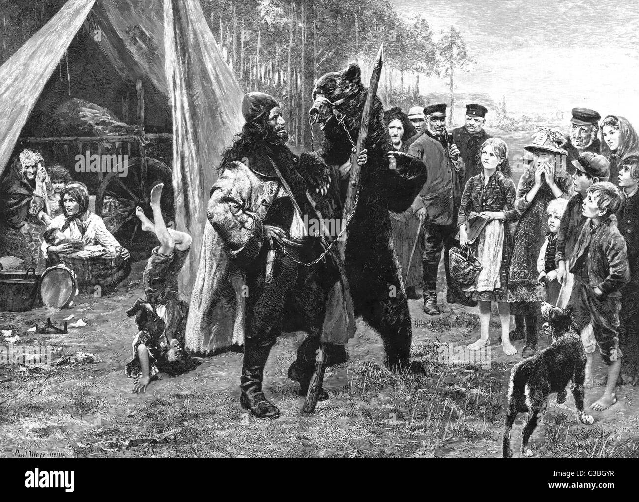 TRAINED BEAR 1892 Stock Photo - Alamy