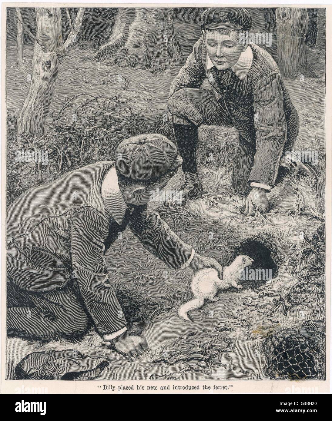 Ferreting hi-res stock photography and images - Alamy