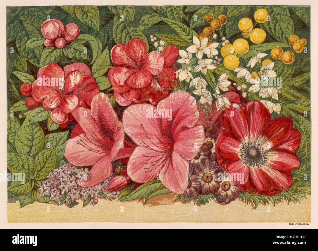 Spring Flowers 1866 Stock Photo - Alamy