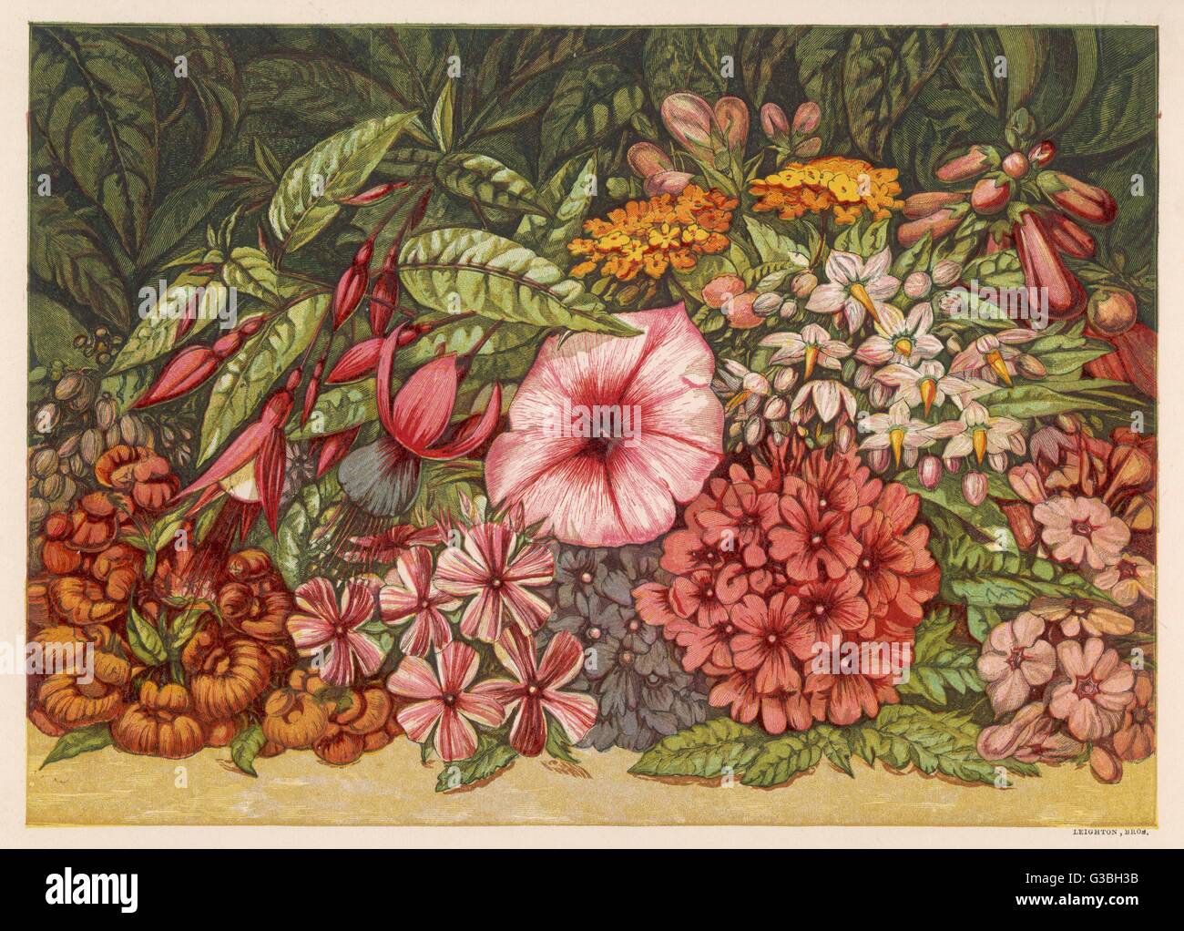 AUTUMN FLOWERS 1866 Stock Photo - Alamy