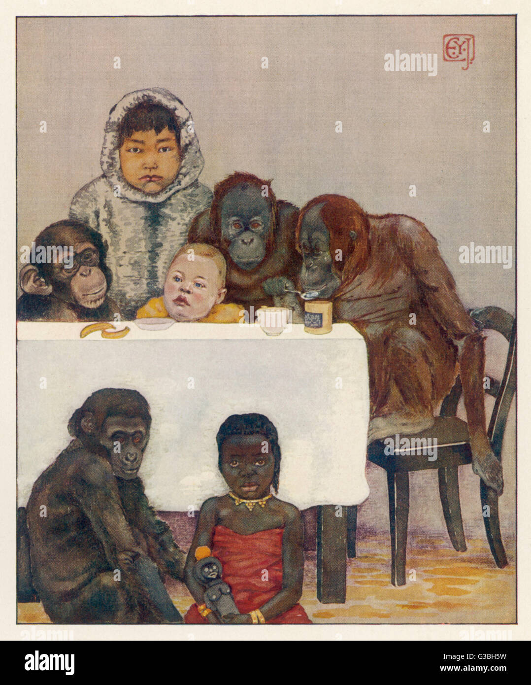 A GROUP OF PRIMATES Stock Photo - Alamy