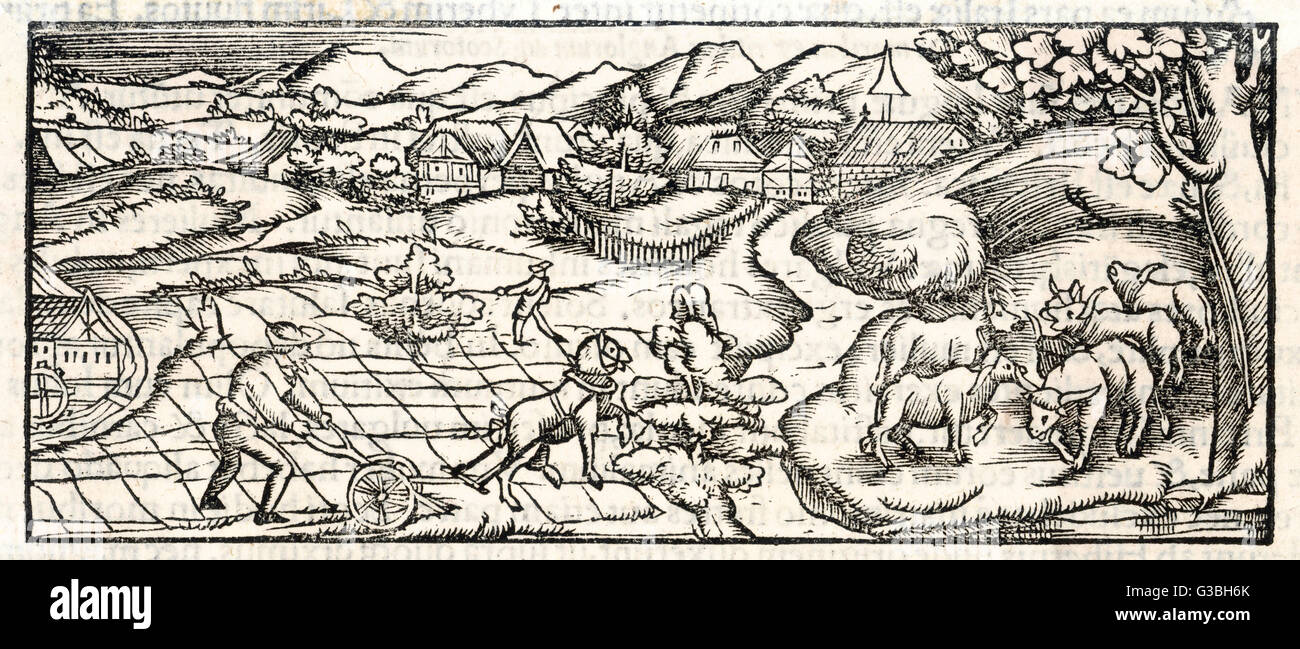 A farming scene in the middle ages (allegedly England, but more likely ...