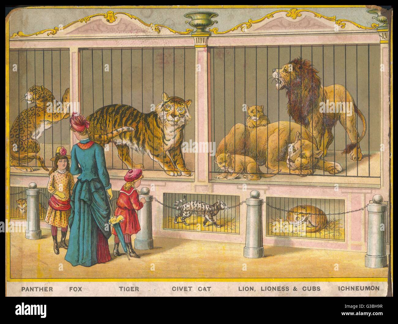 The zoo at regents park hi-res stock photography and images - Alamy