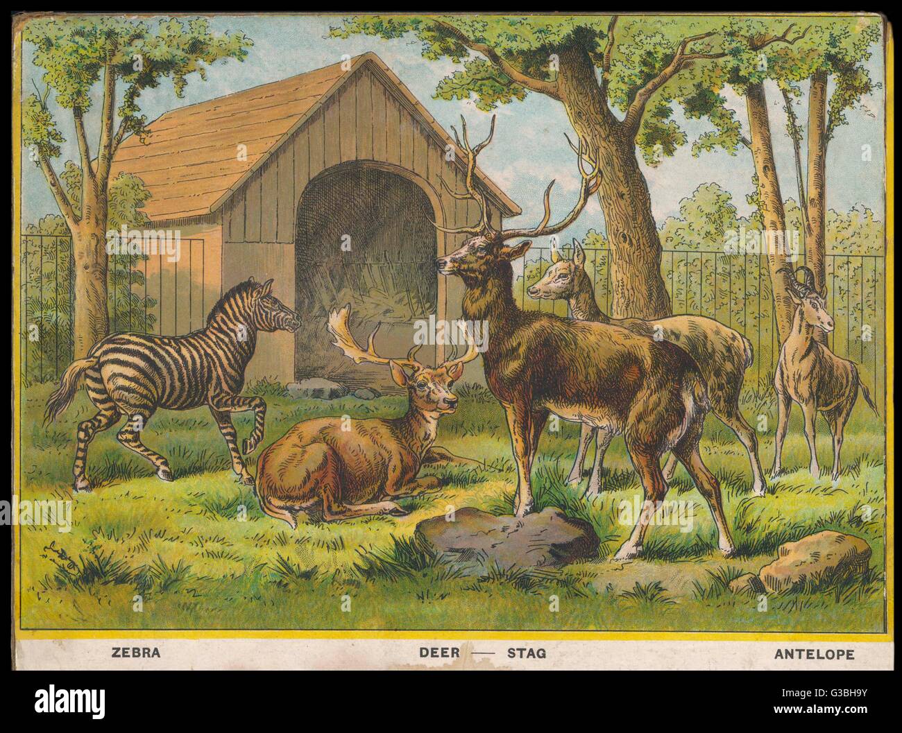 London Zoo Regents Park London Stock Photos & London Zoo Regents Park ...