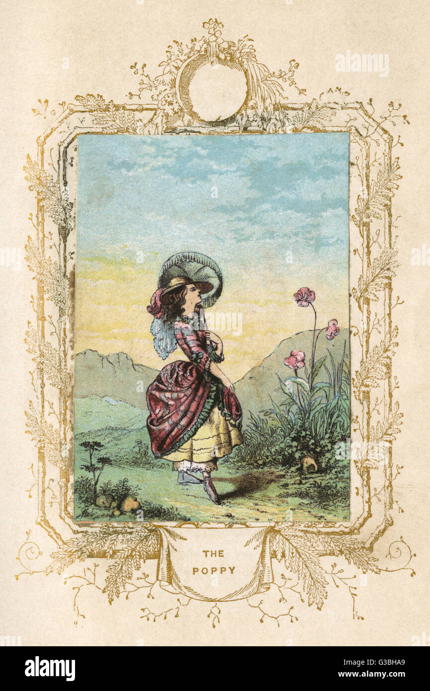 Poppy costume hi-res stock photography and images - Alamy