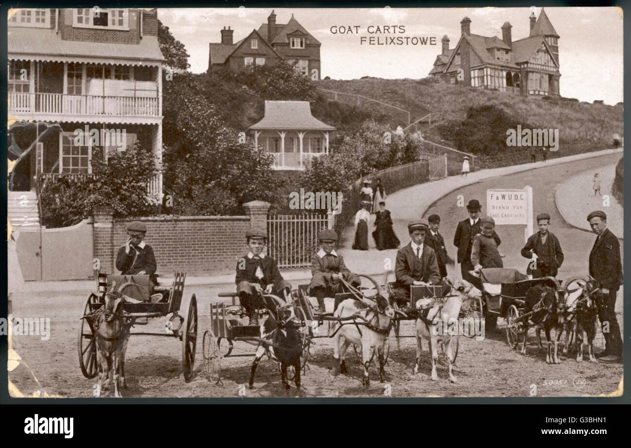 GOAT CARTS FELIXSTOWE Stock Photo - Alamy