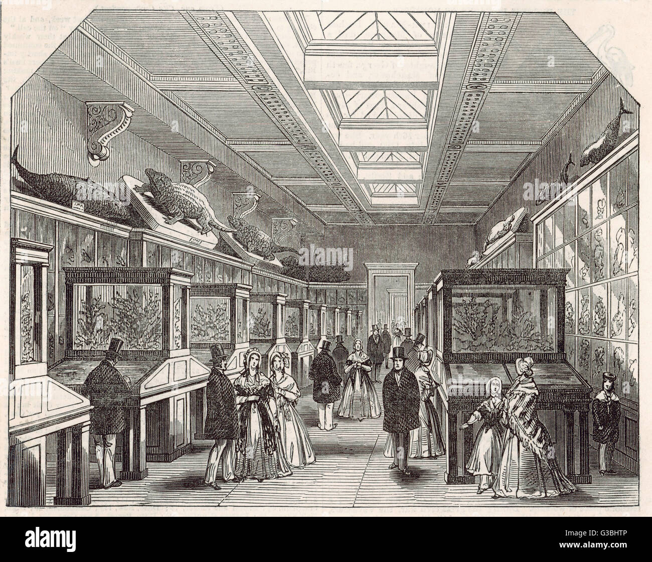 British Museum - Coral Room 1847 Stock Photo - Alamy