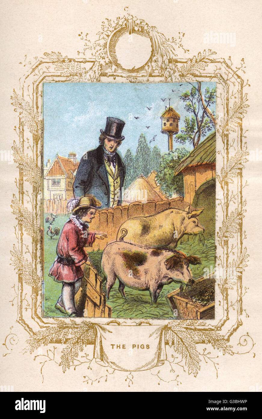 Victorian farm pig hi-res stock photography and images - Alamy