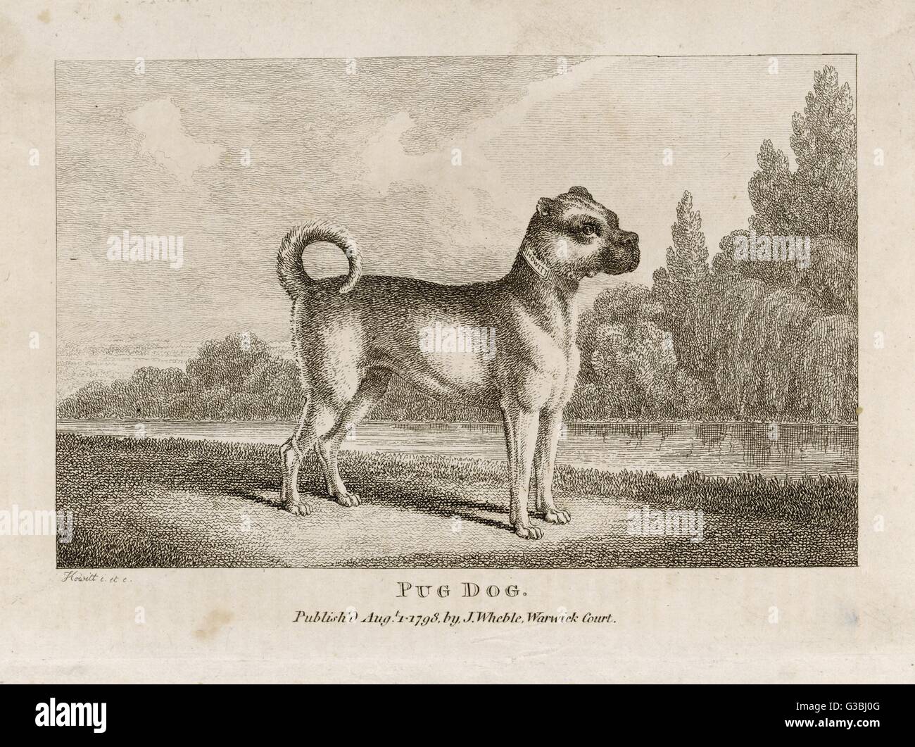 1 long tail hi-res stock photography and images - Alamy