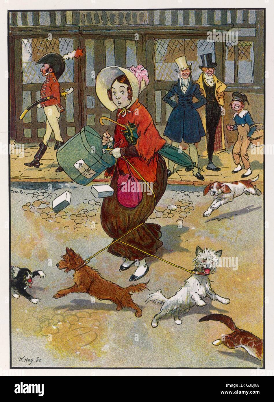 Tangle of dog hi-res stock photography and images - Alamy