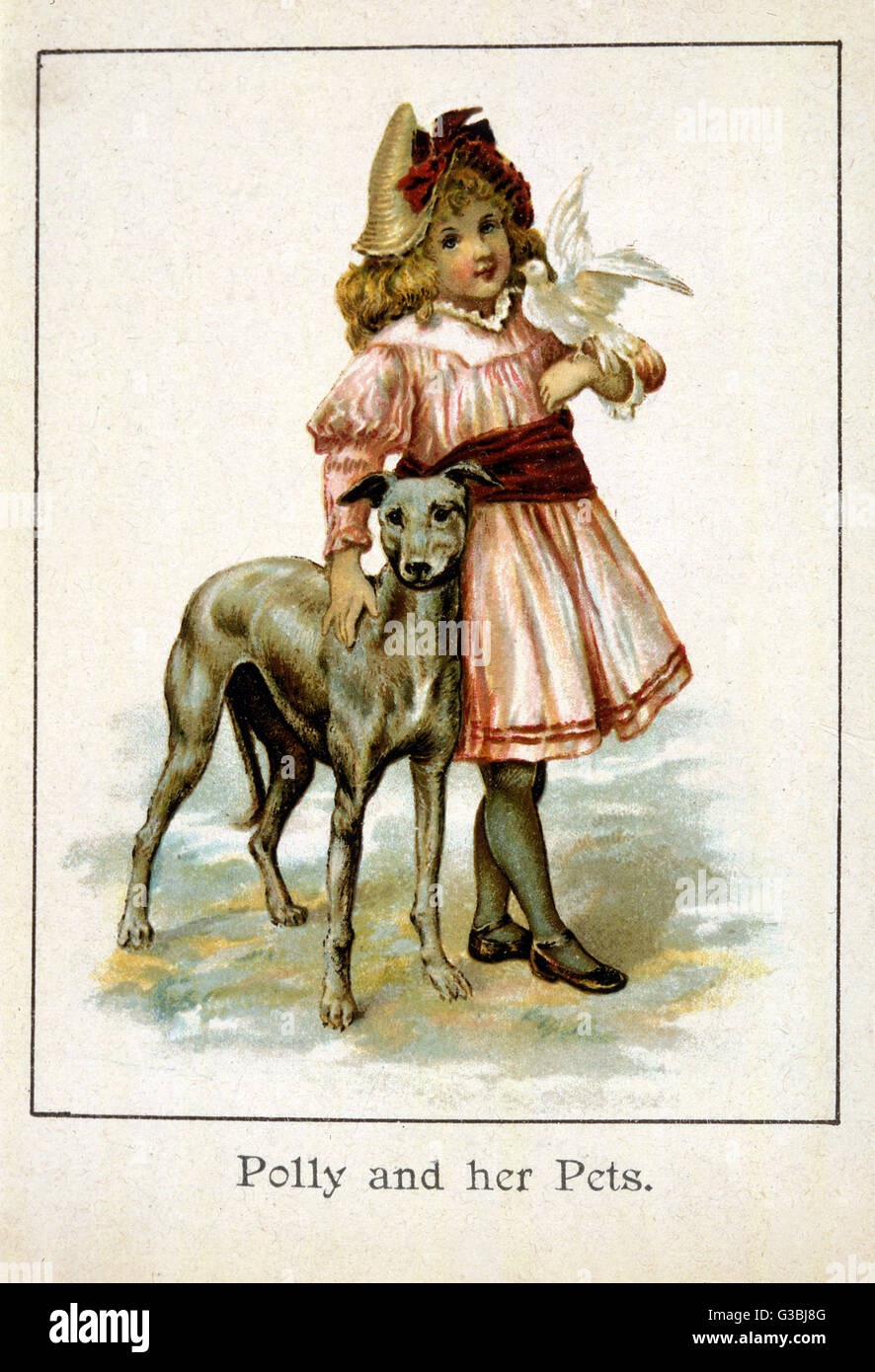 Whippet dogs hi-res stock photography and images - Alamy
