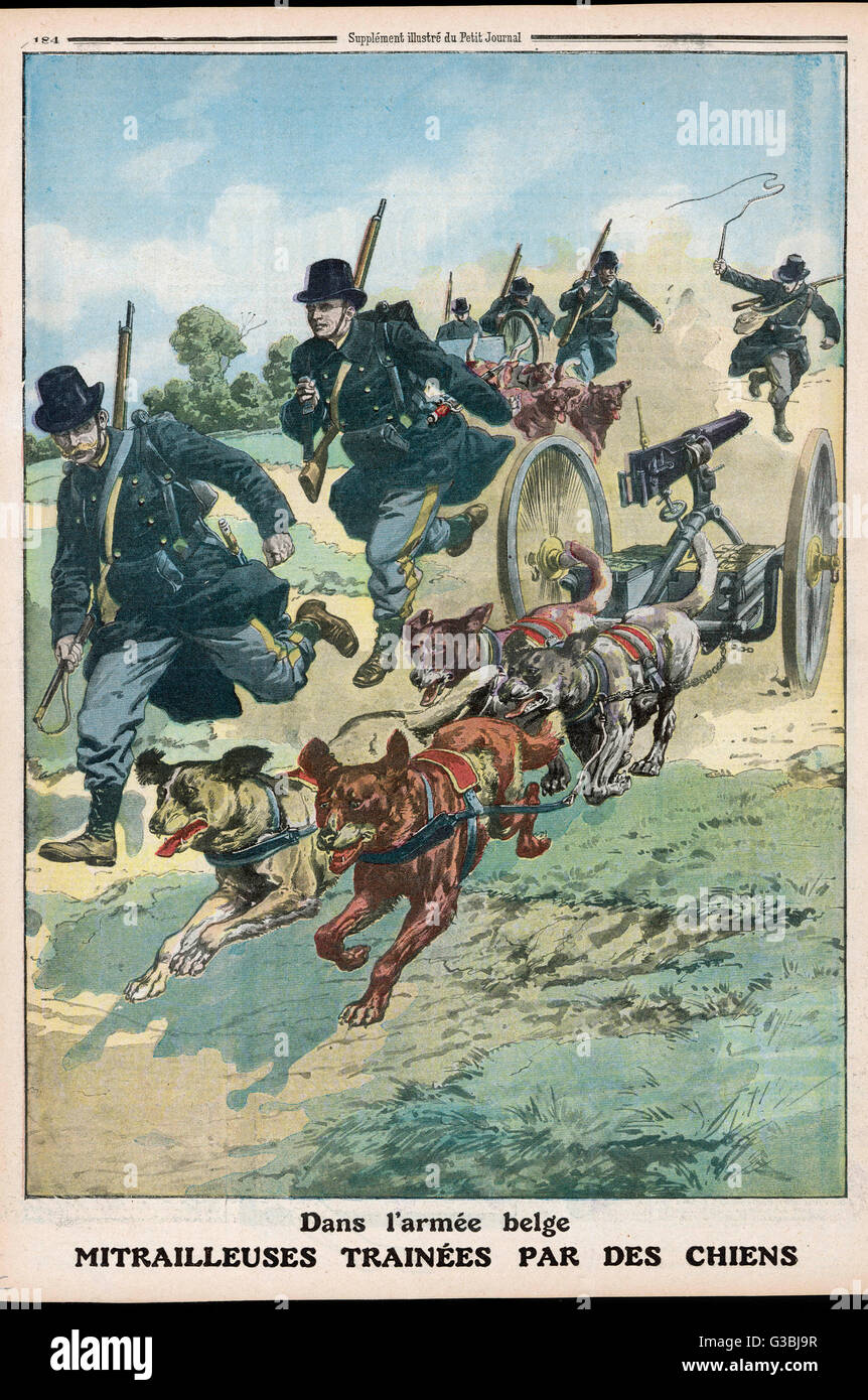 BELGIAN DOGS PULL GUNS Stock Photo - Alamy