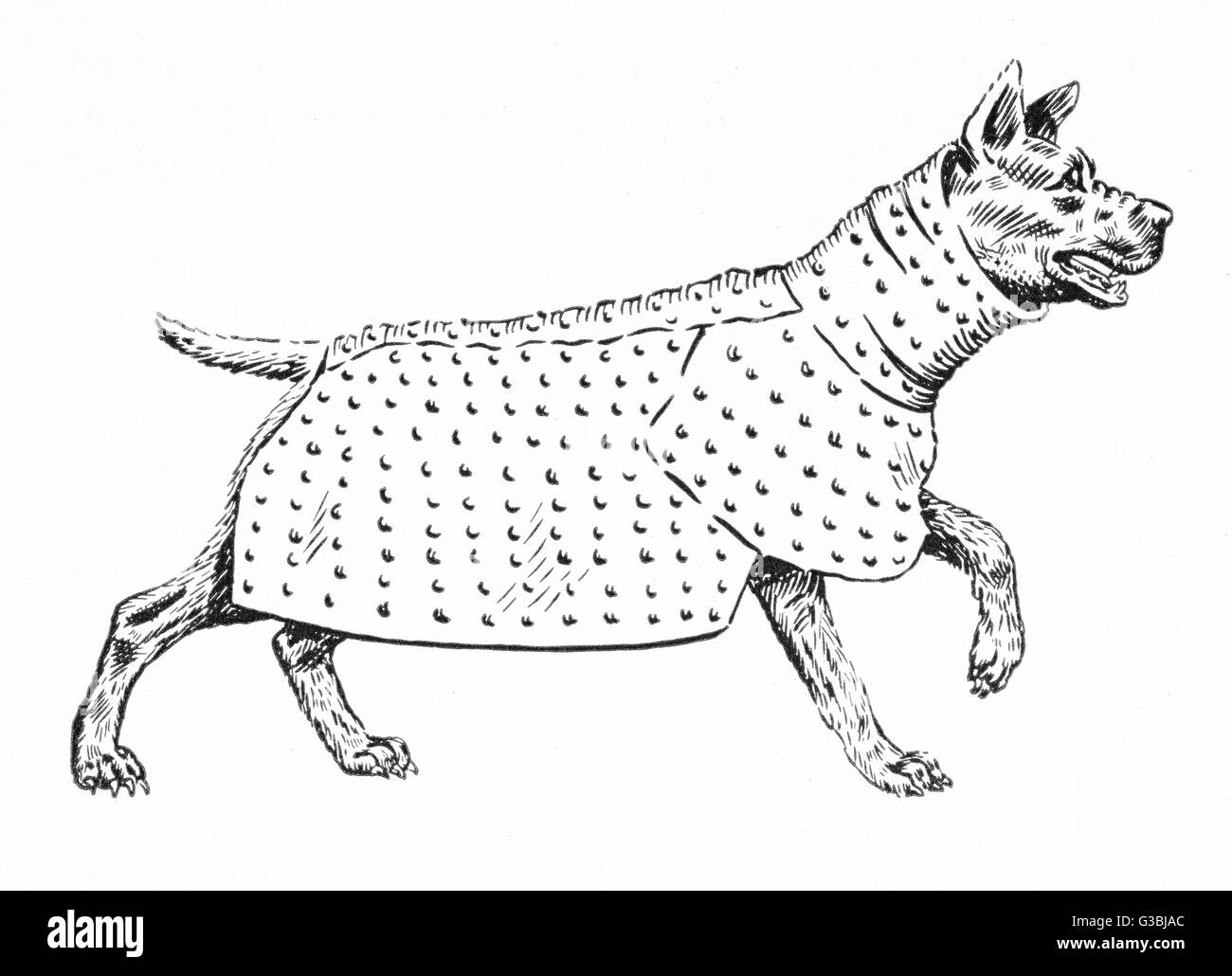 ANCIENT DOG ARMOUR - 2 Stock Photo - Alamy