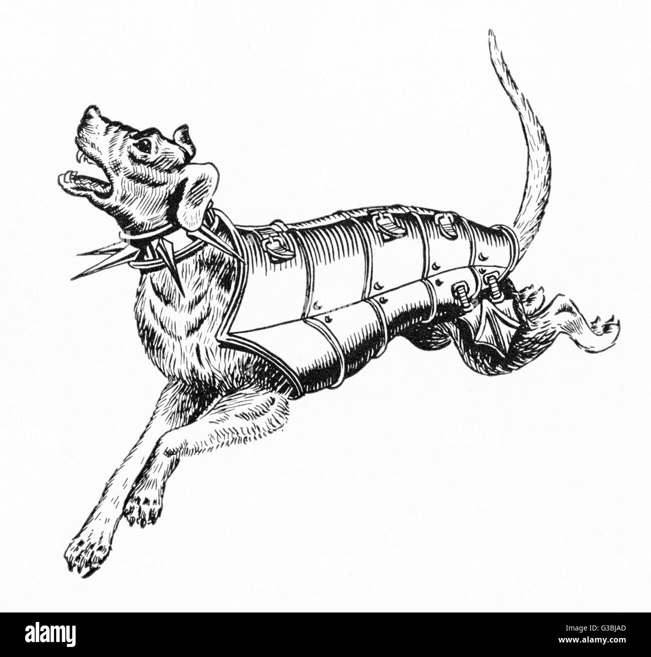 ANCIENT DOG ARMOUR - 3 Stock Photo - Alamy