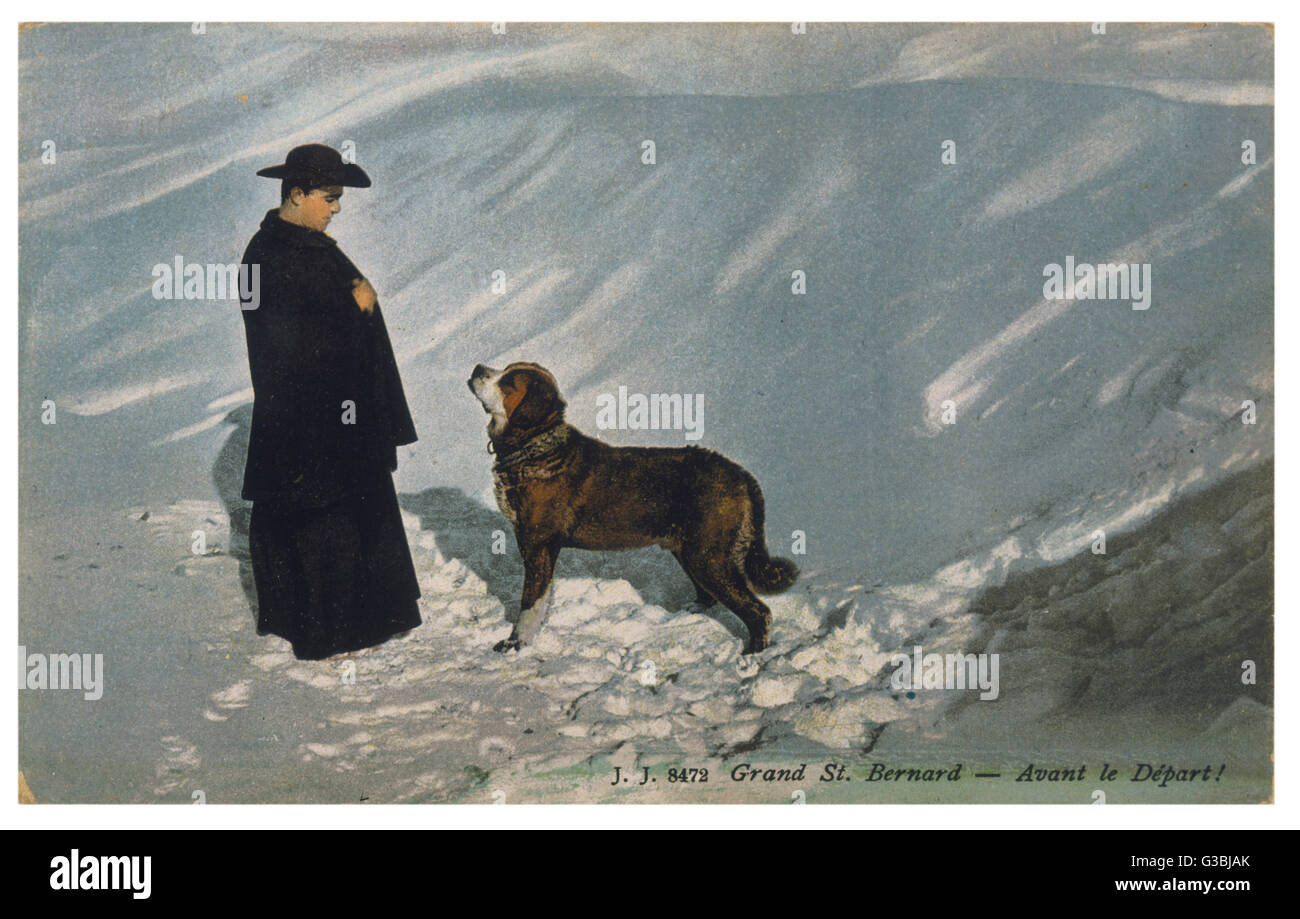 Priest and St Bernard Dog Stock Photo - Alamy