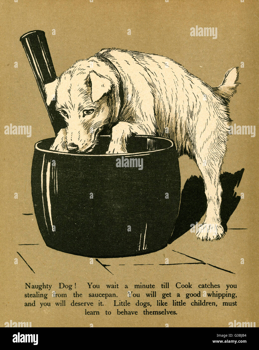 What To Do With A Misbehaving Dog
