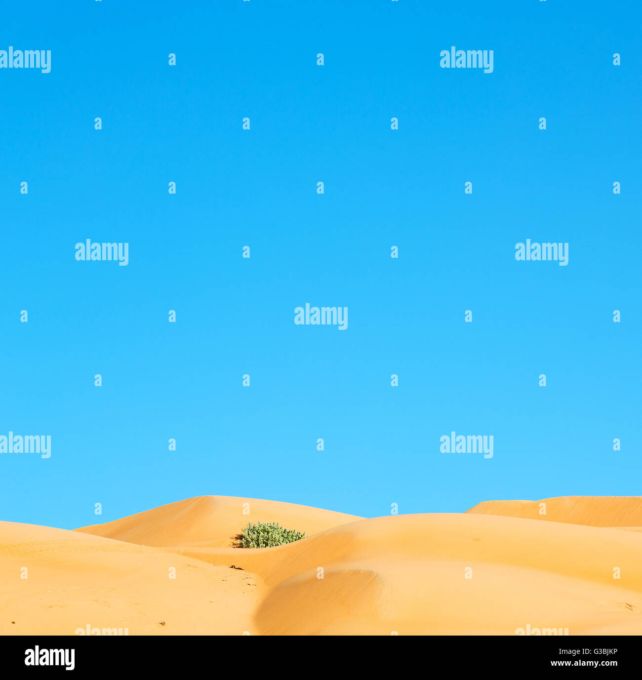 the empty quarter and outdoor sand dune in oman old desert rub al khali ...