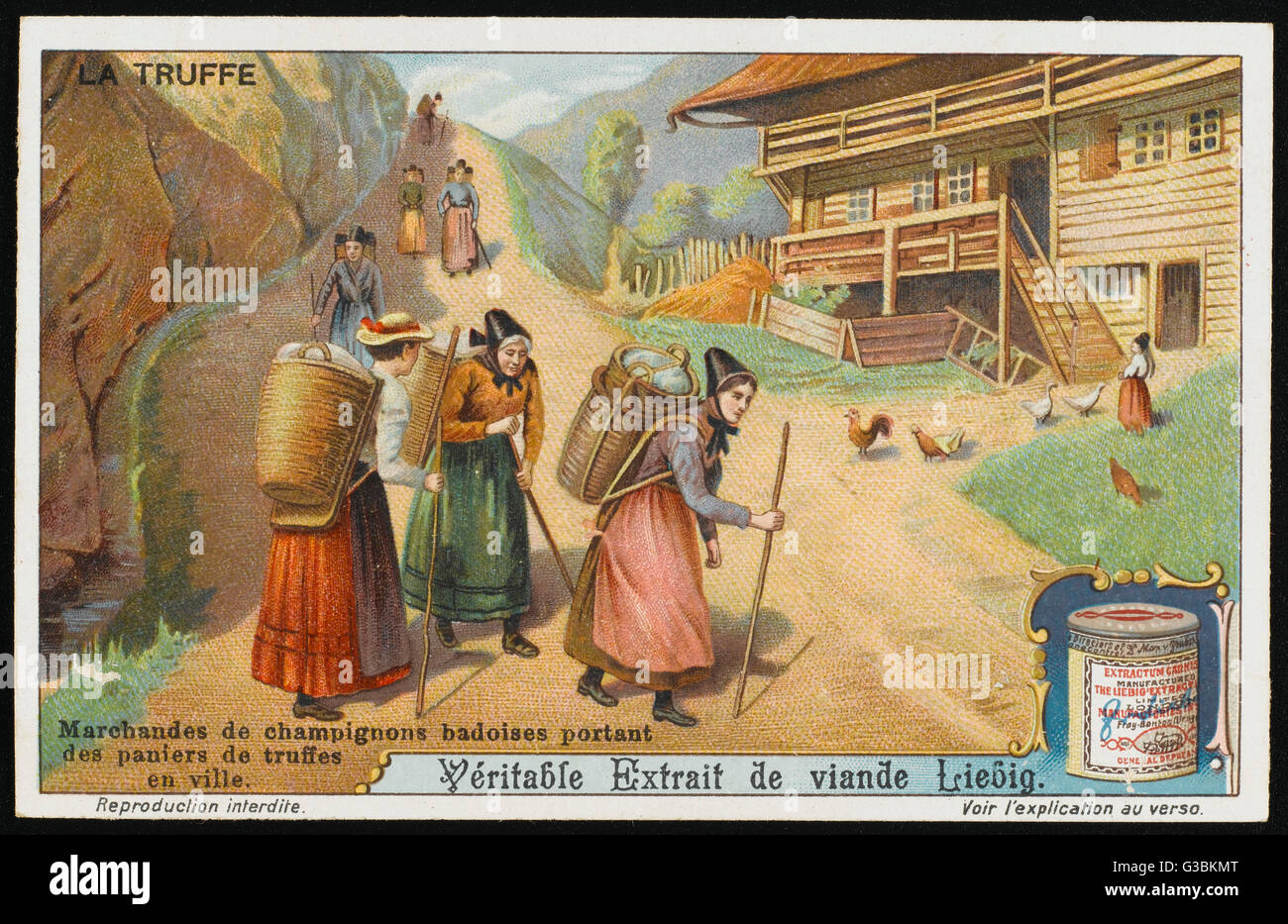 Liebig lane hi-res stock photography and images - Alamy