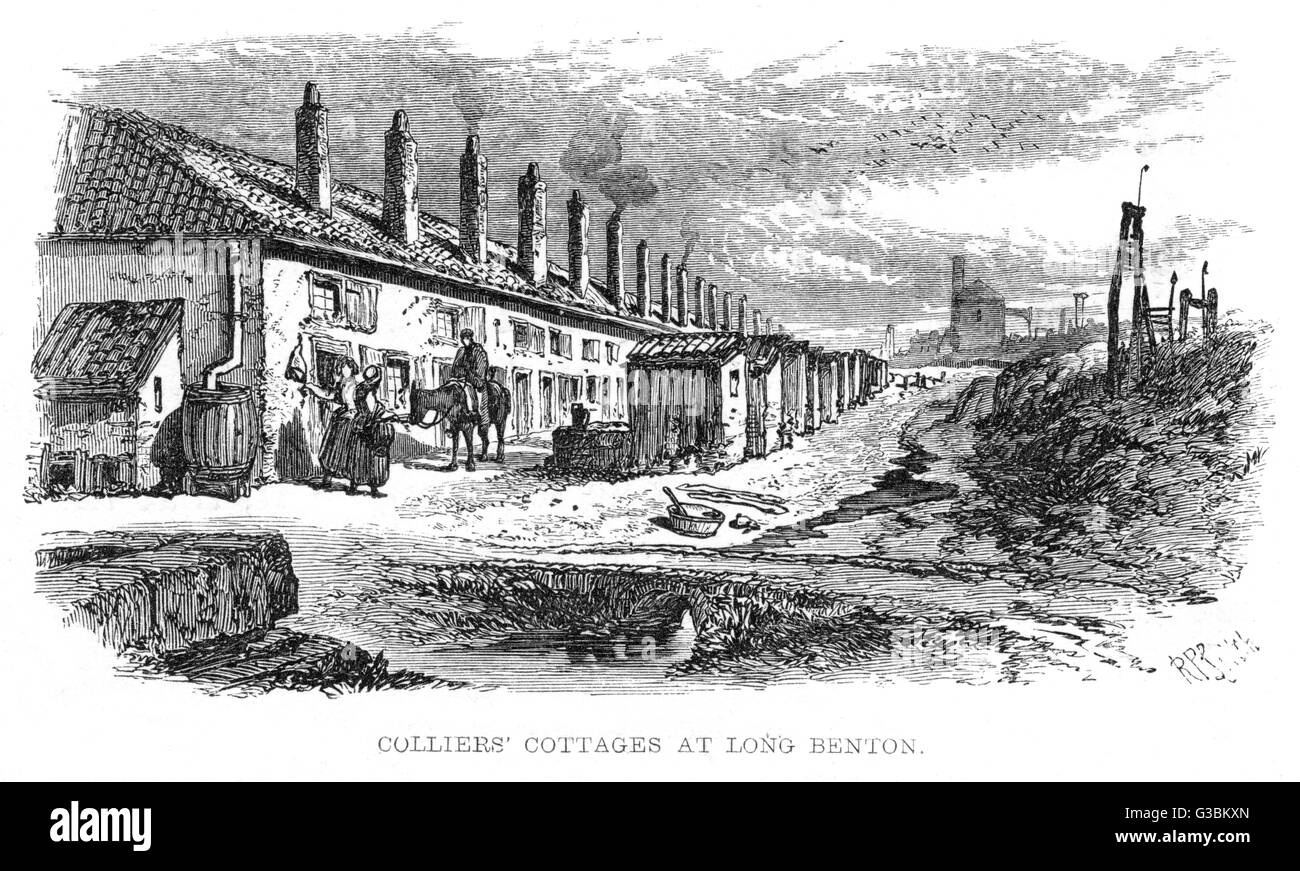 Homes not flats Black and White Stock Photos & Images - Alamy