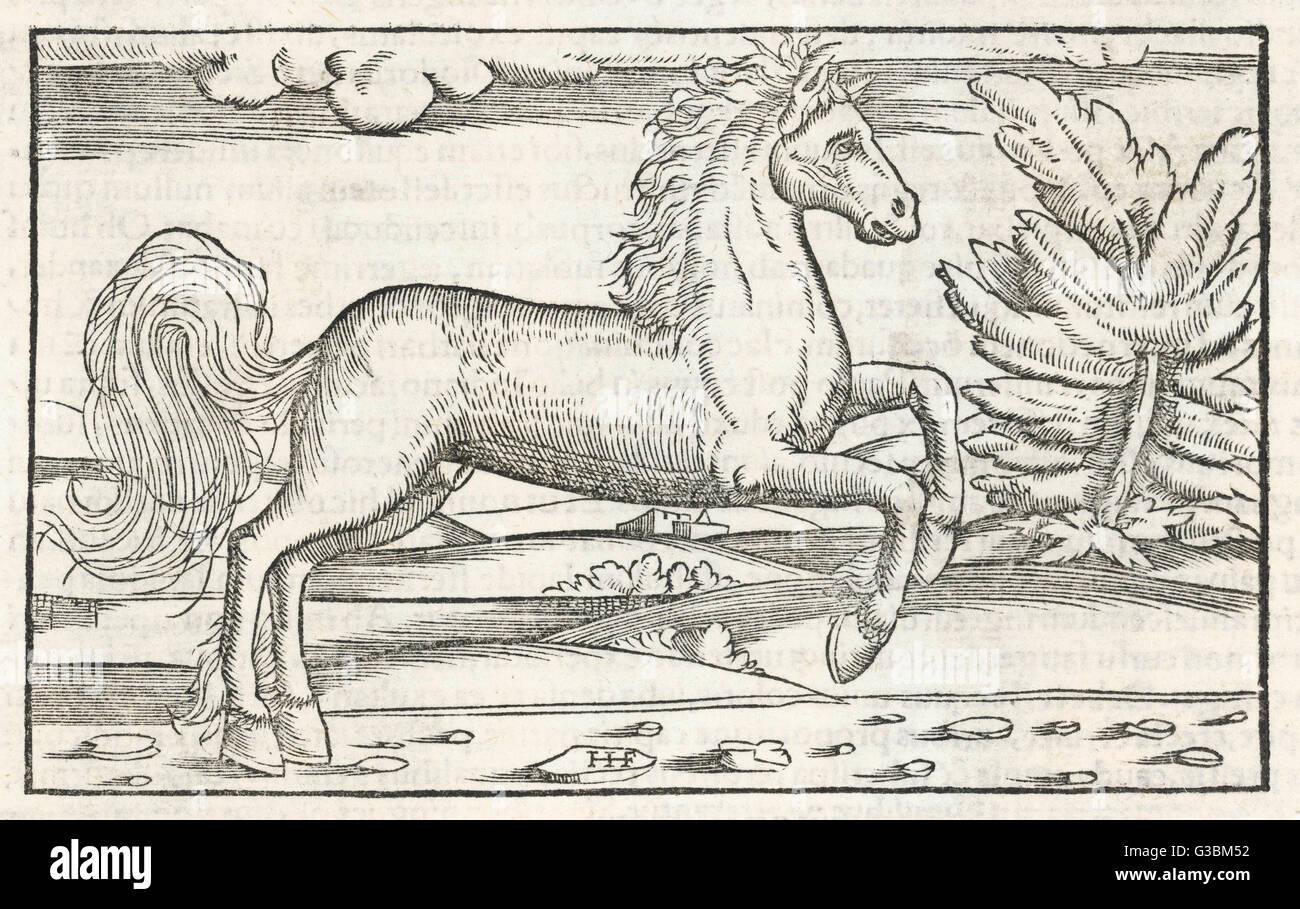 Alexander the great horse bucephalus hi-res stock photography and ...